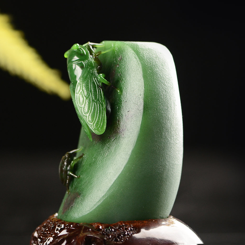 Cicada And Beetle – Jade Nature